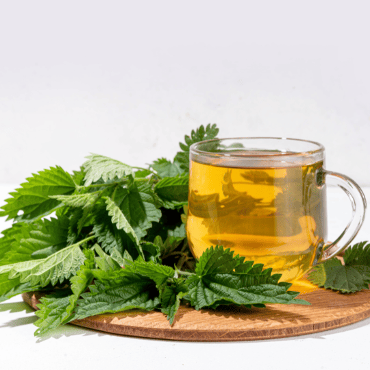 Is brandnetelthee gezond? - Gezondheidsleven